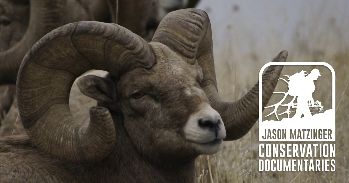 Jason Matzinger Conservation Documentaries