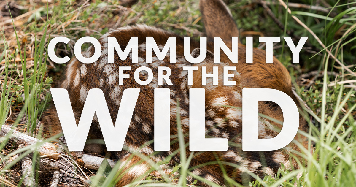 Community for the Wild