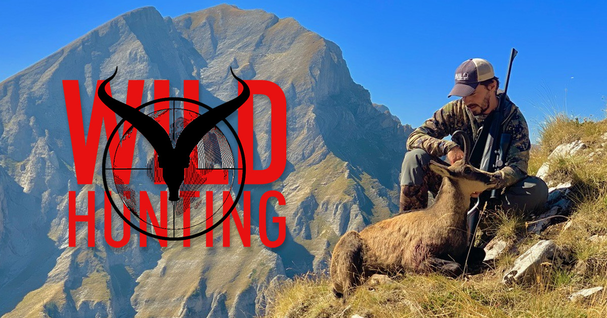 Wild Hunting